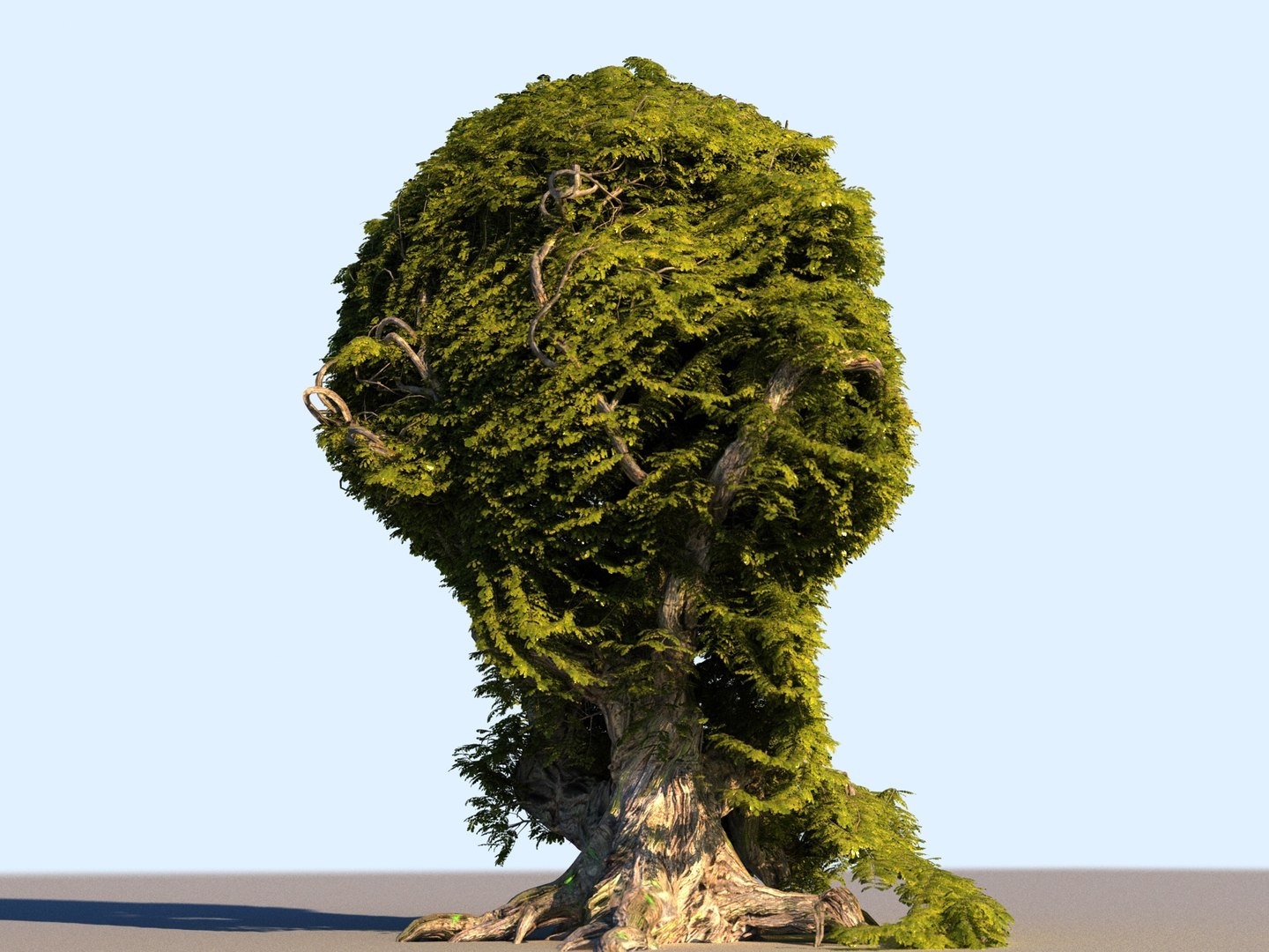 Tree Head Pack 10 3D Model - TurboSquid 1287368
