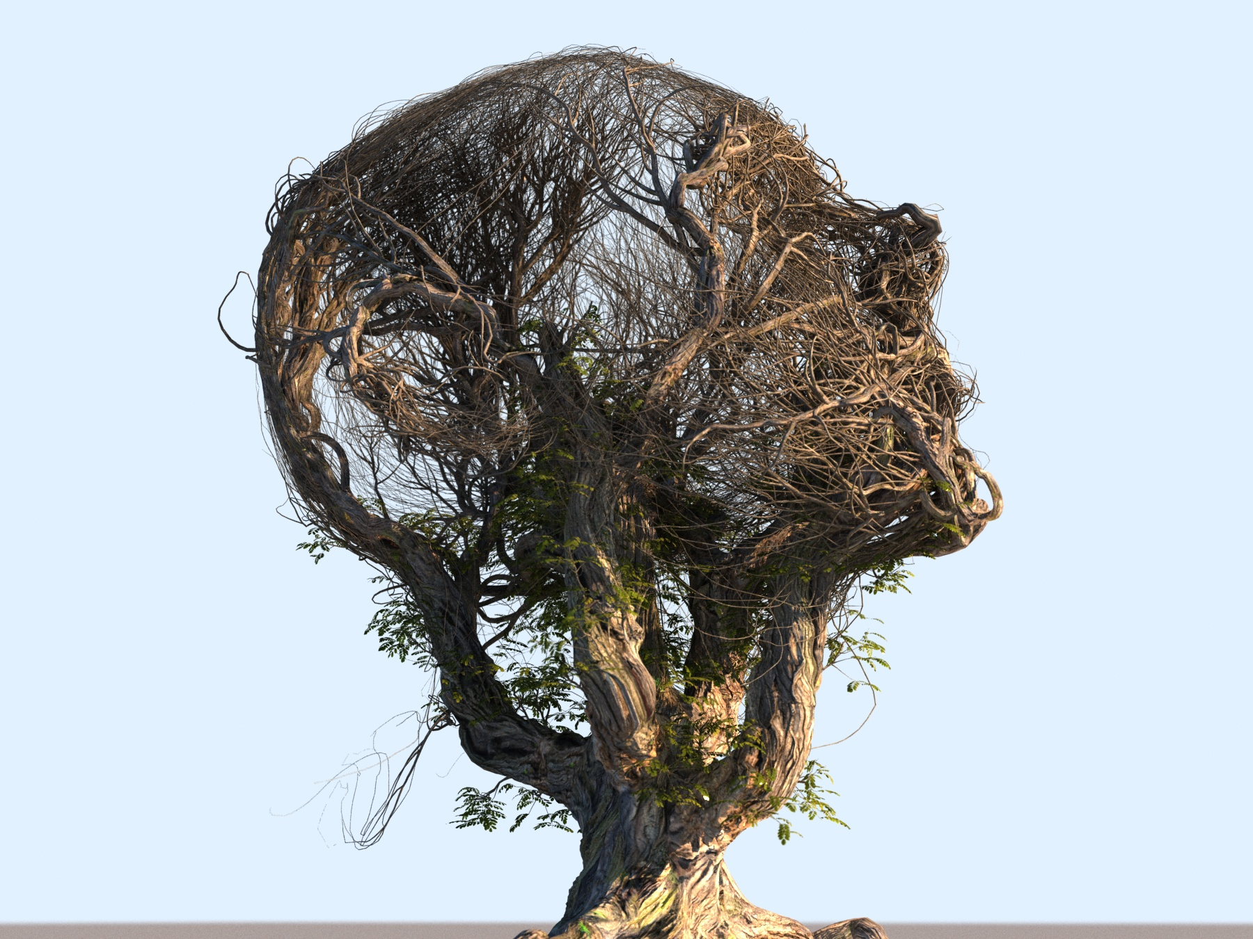 Tree head pack 10 3D model - TurboSquid 1287368
