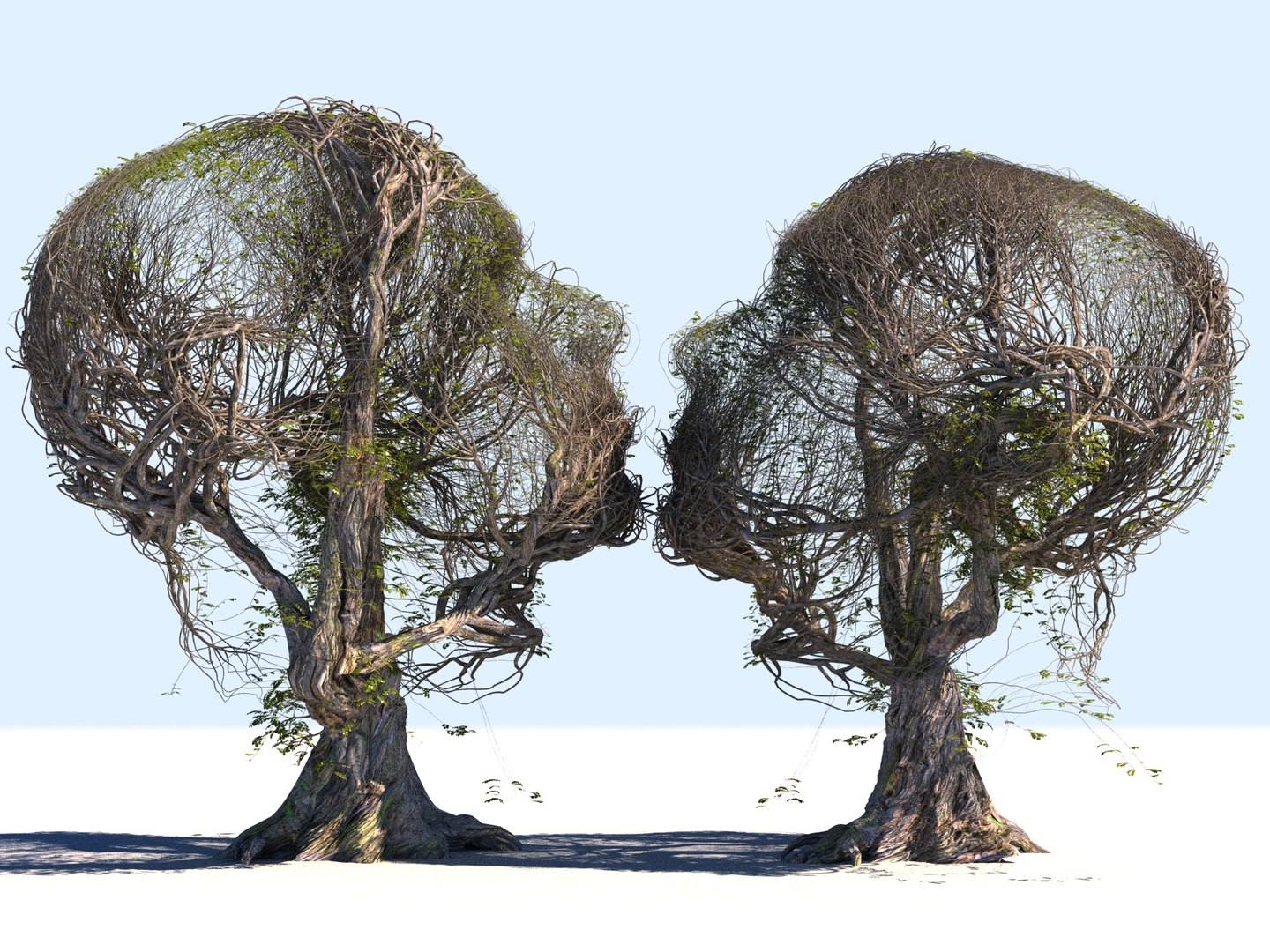 Tree Head Pack 10 3D Model - TurboSquid 1287368