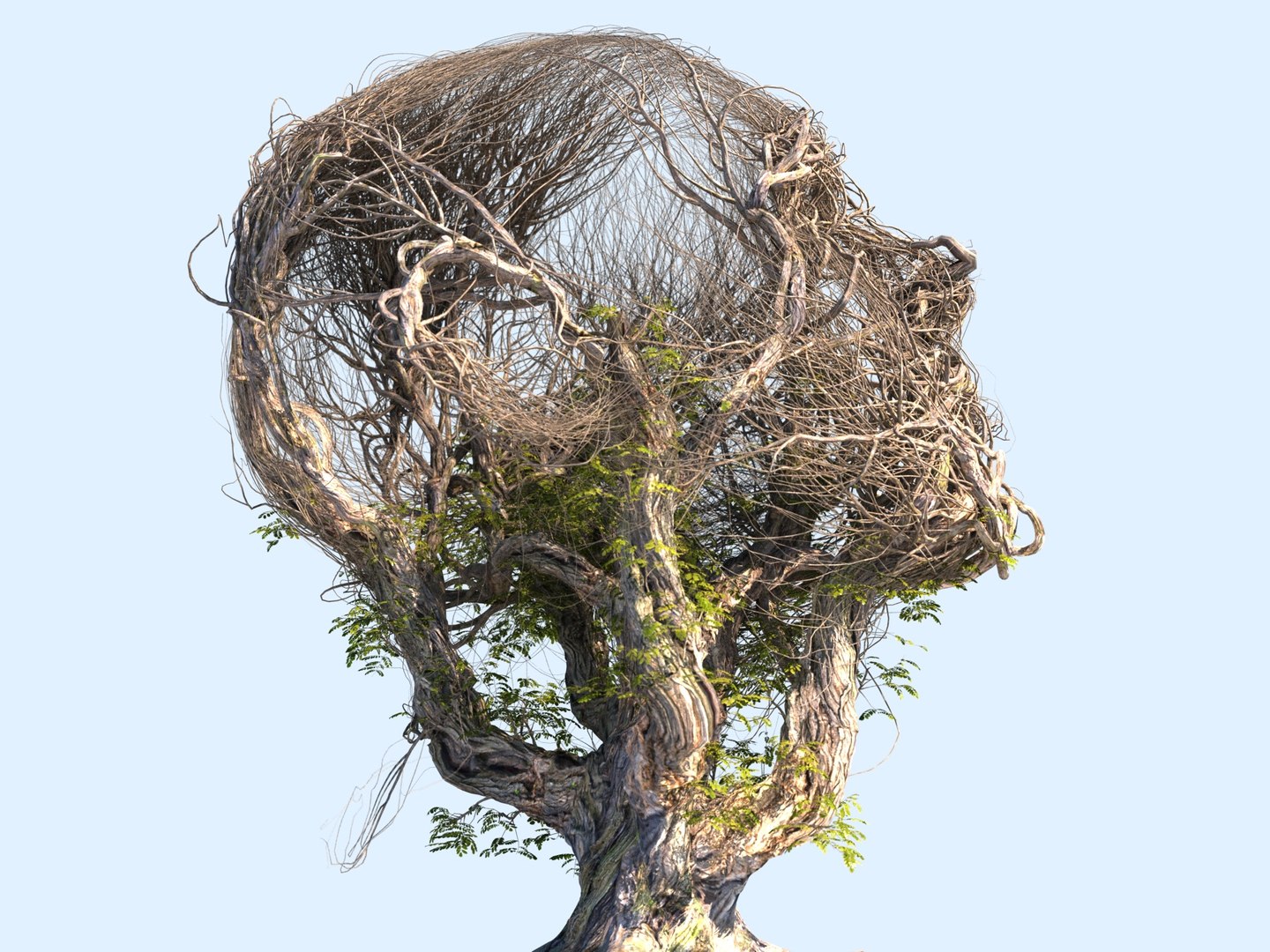 Tree Head Pack 10 3D Model - TurboSquid 1287368