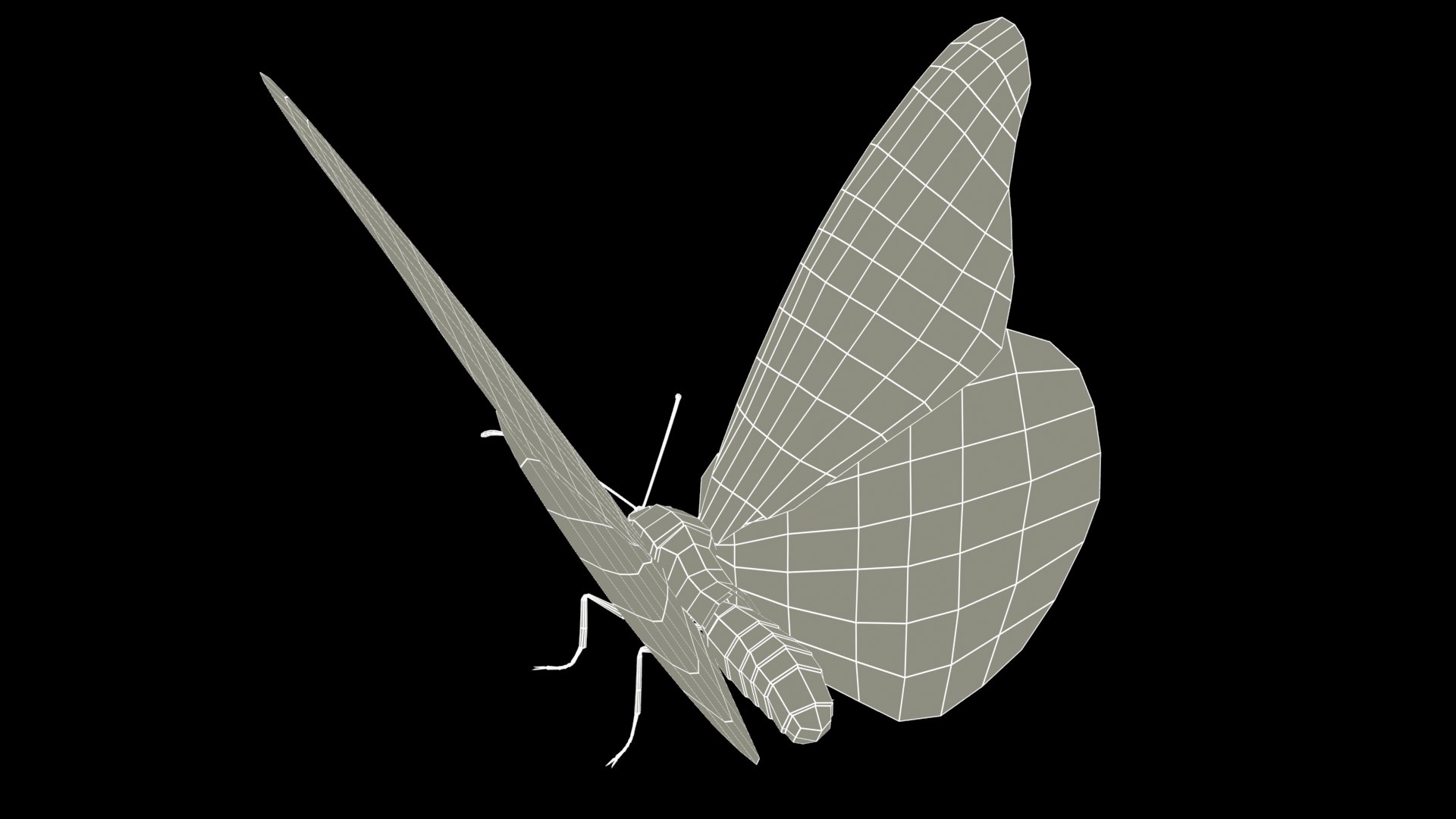 Monarch Butterfly 3D Model - TurboSquid 1303737