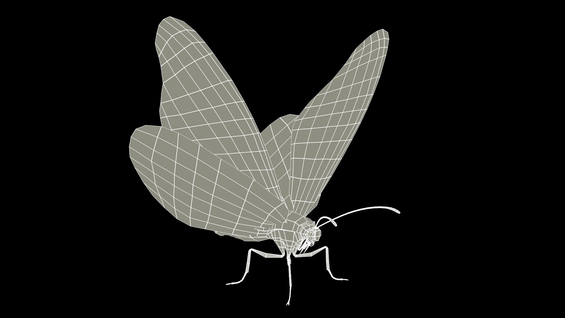 Monarch Butterfly 3D Model - TurboSquid 1303737