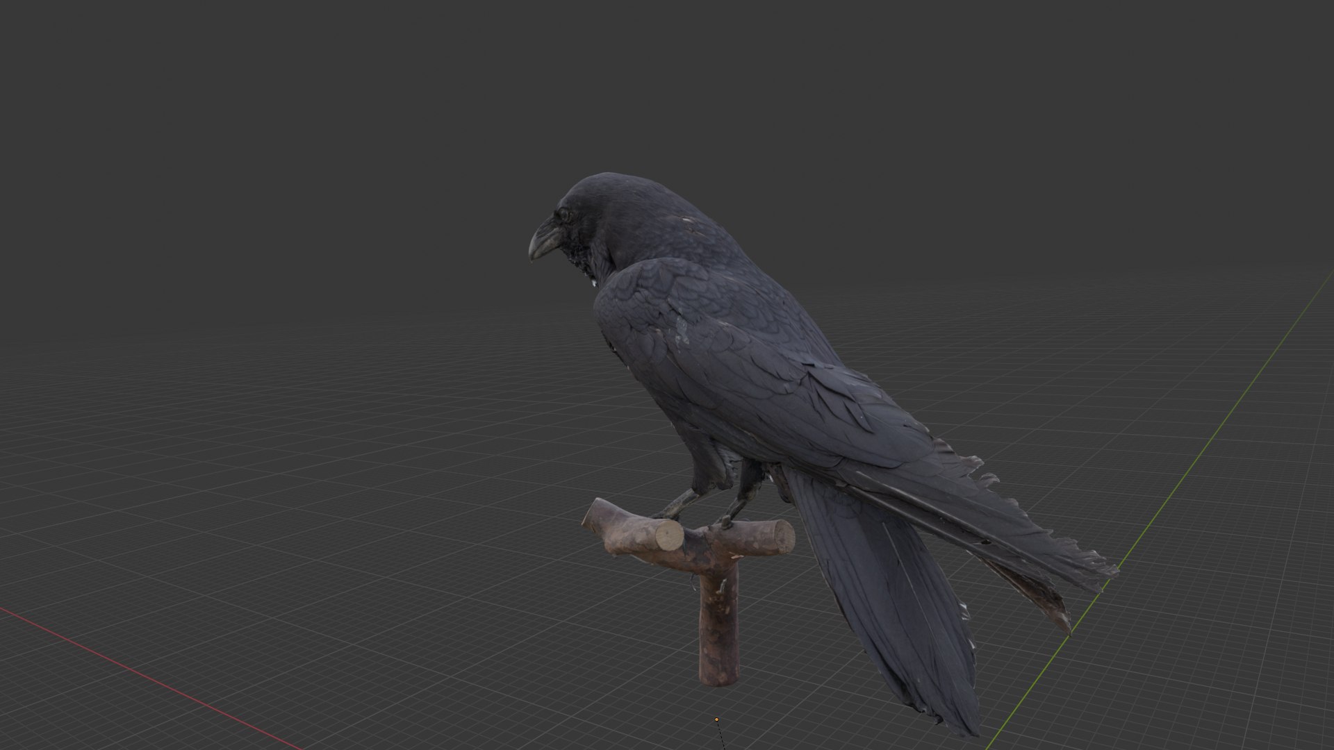 3D Raven Model - TurboSquid 2369628
