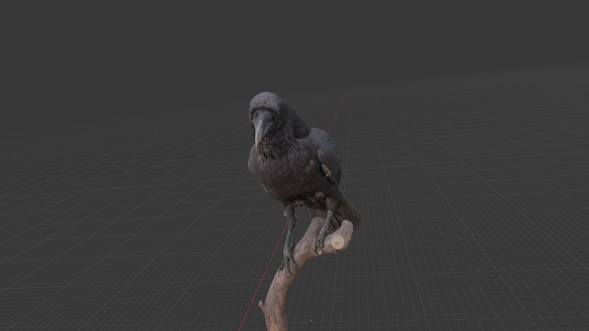 3D Raven Model - TurboSquid 2369628