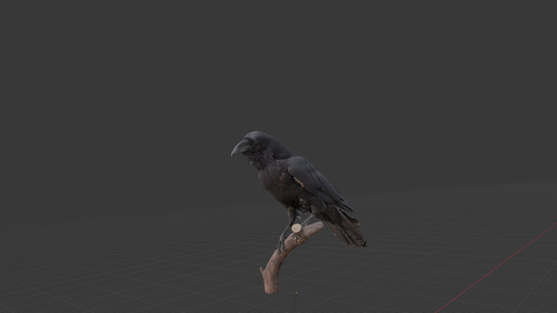 3D Raven Model - TurboSquid 2369628