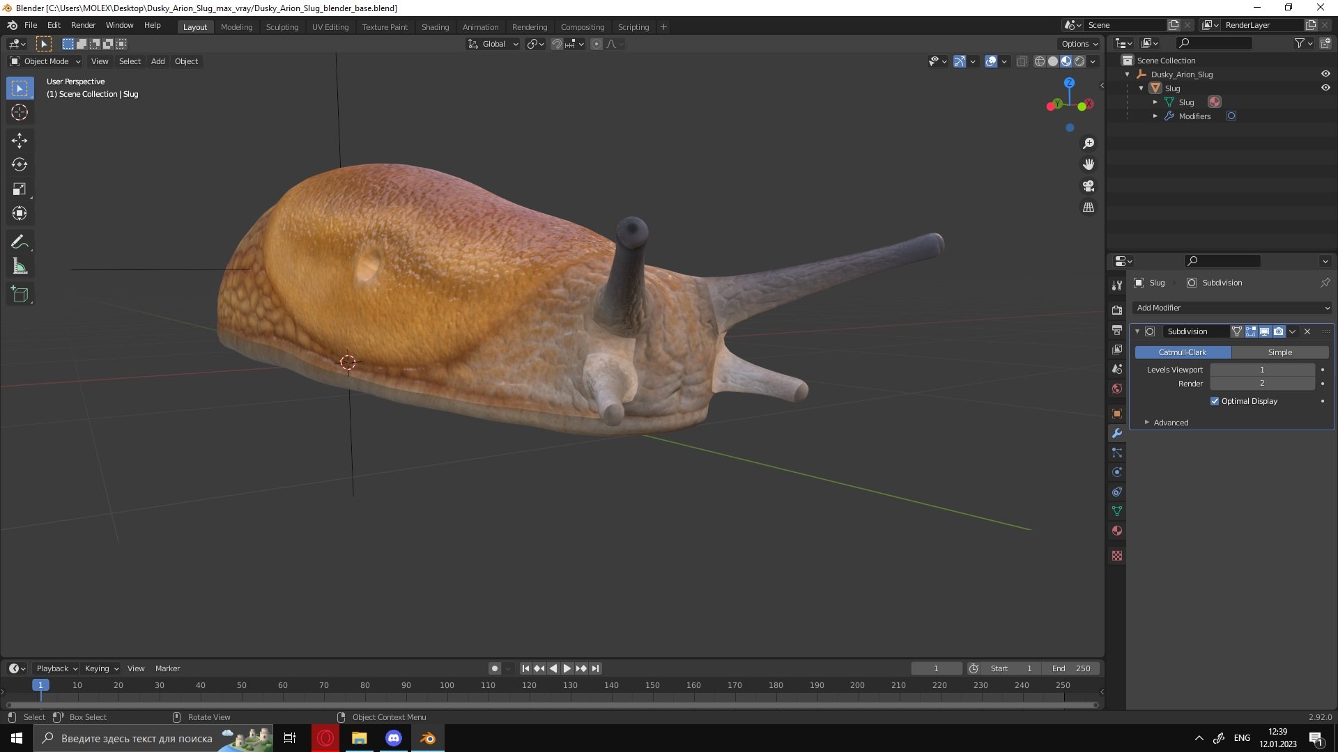 Dusky Arion Slug 3D - TurboSquid 2013405