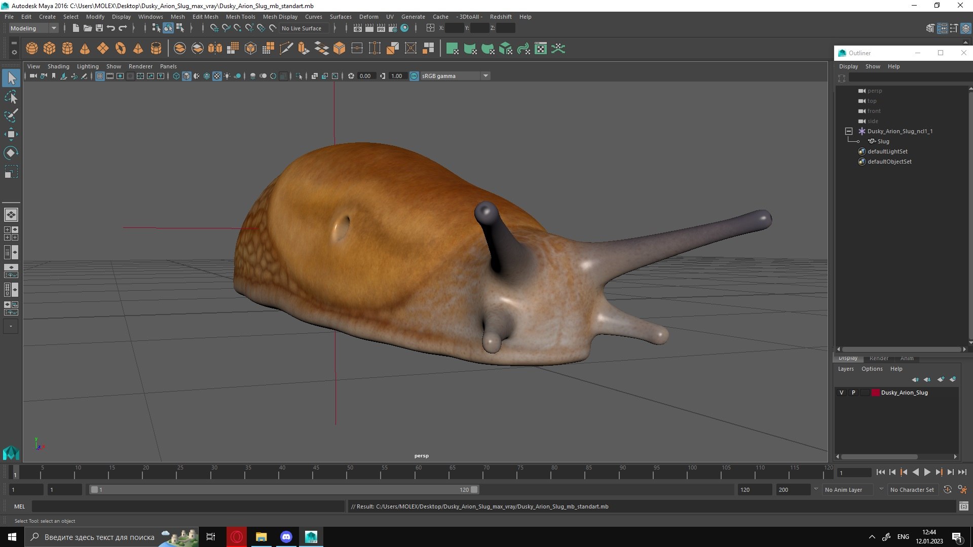 Dusky Arion Slug 3D - TurboSquid 2013405