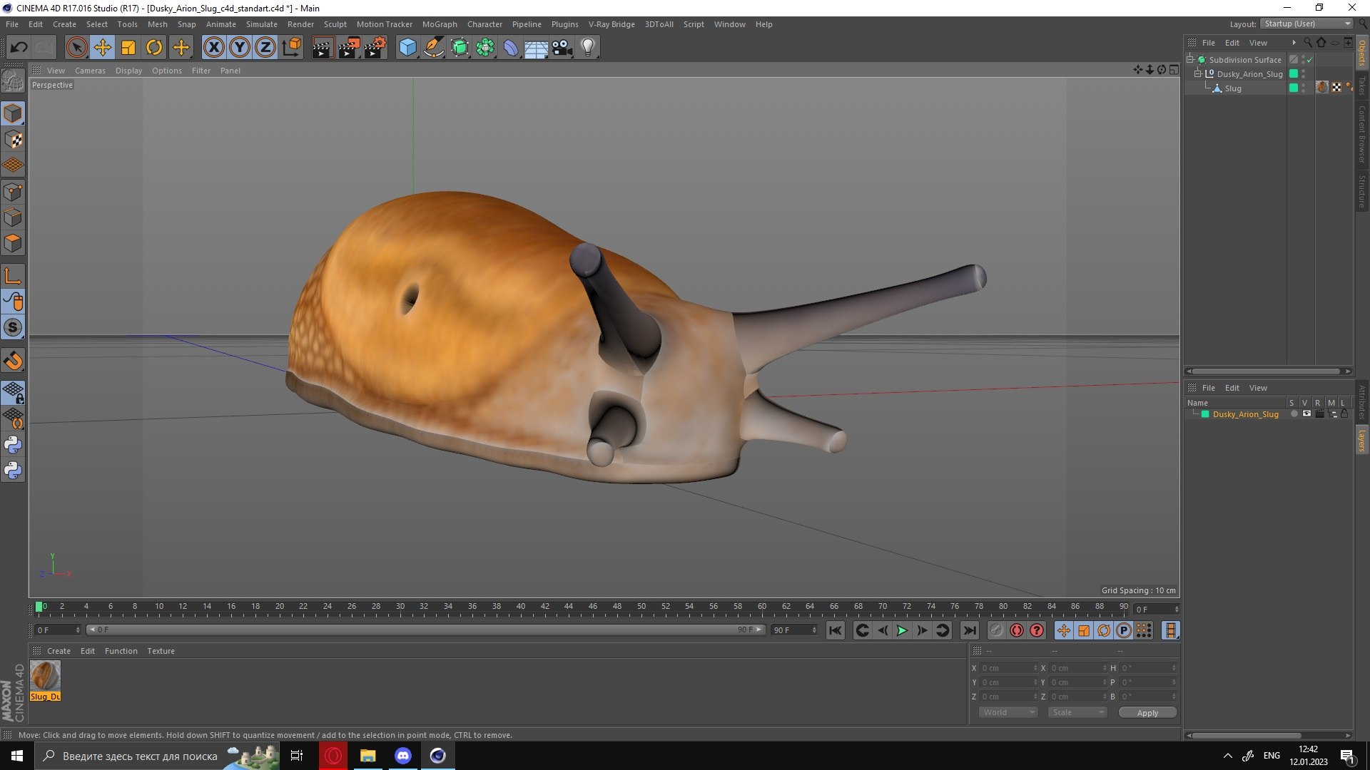 Dusky Arion Slug 3D - TurboSquid 2013405