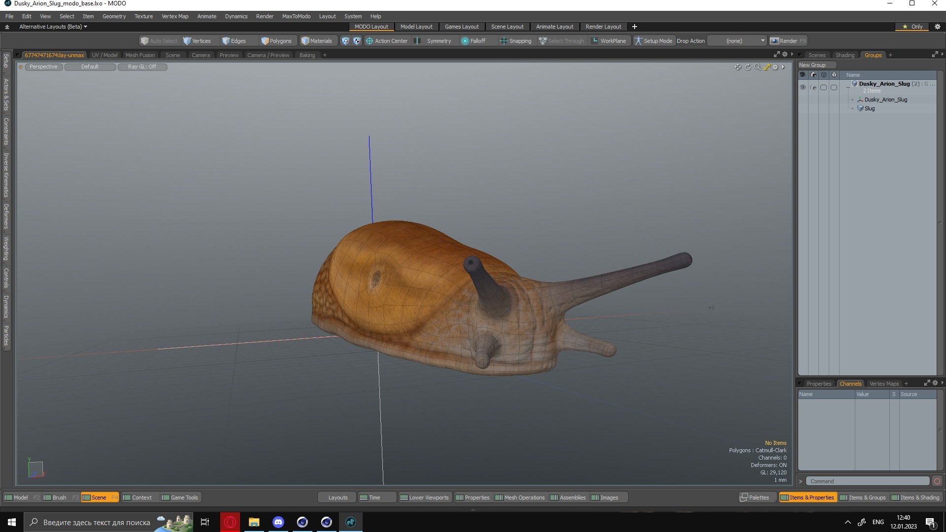 Dusky Arion Slug 3D - TurboSquid 2013405