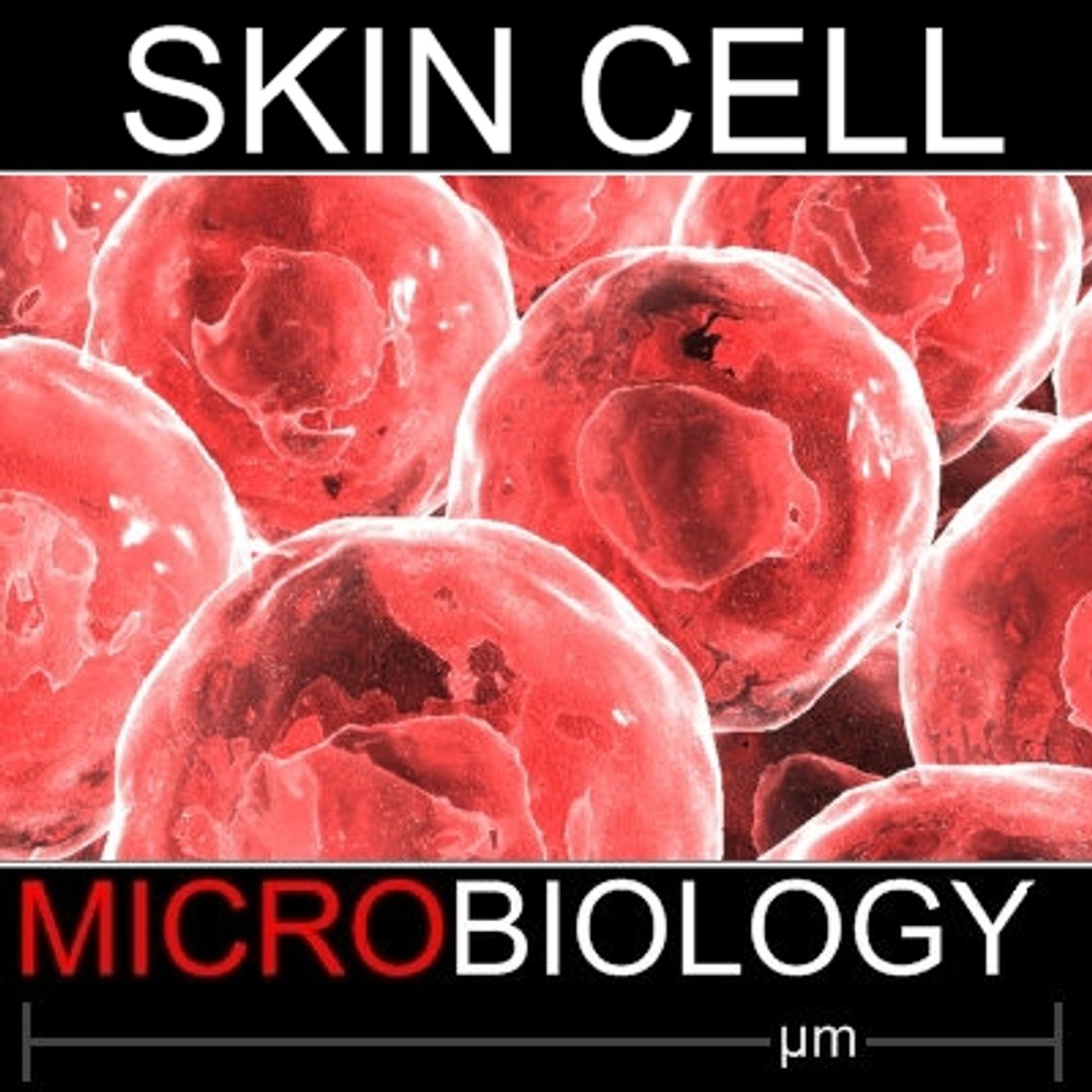 3ds Max Skin Cell