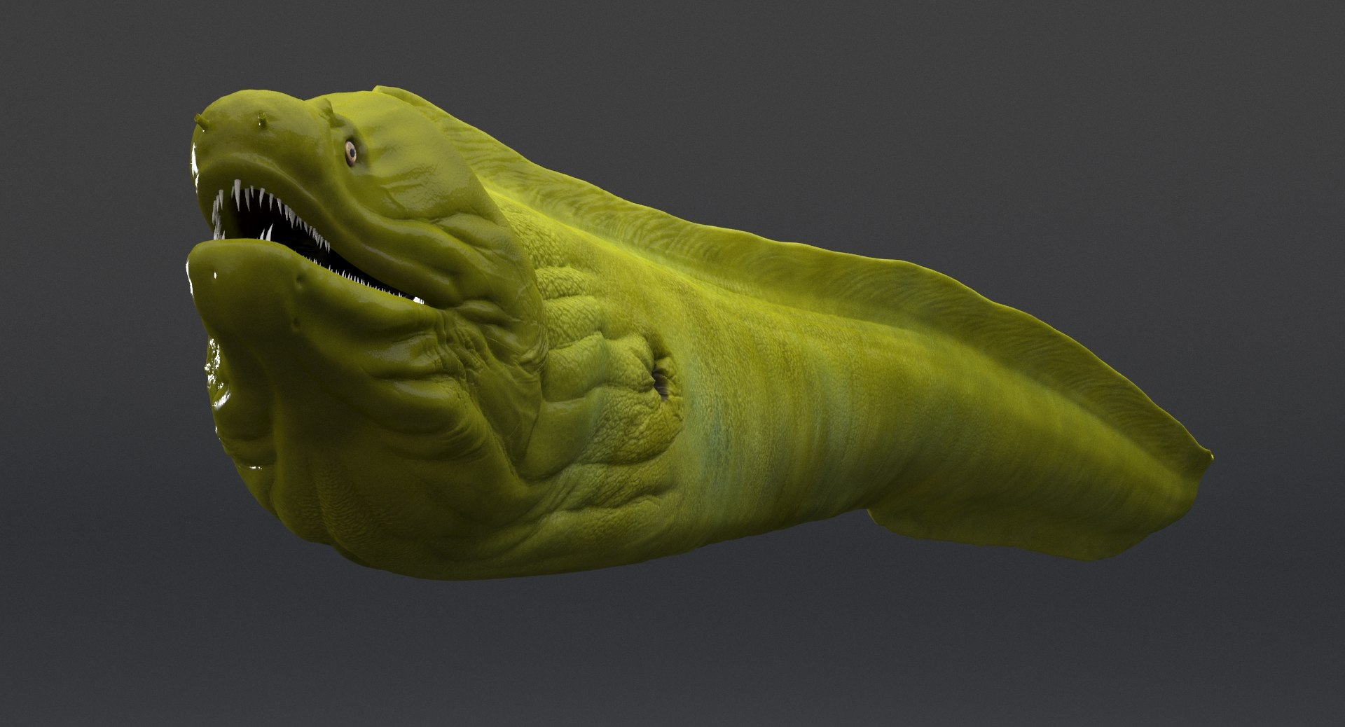 3d Moray Eel