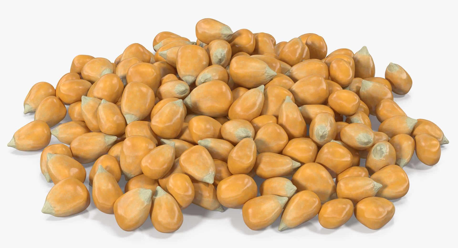 3D Corn Kernels 2 - TurboSquid 1260097