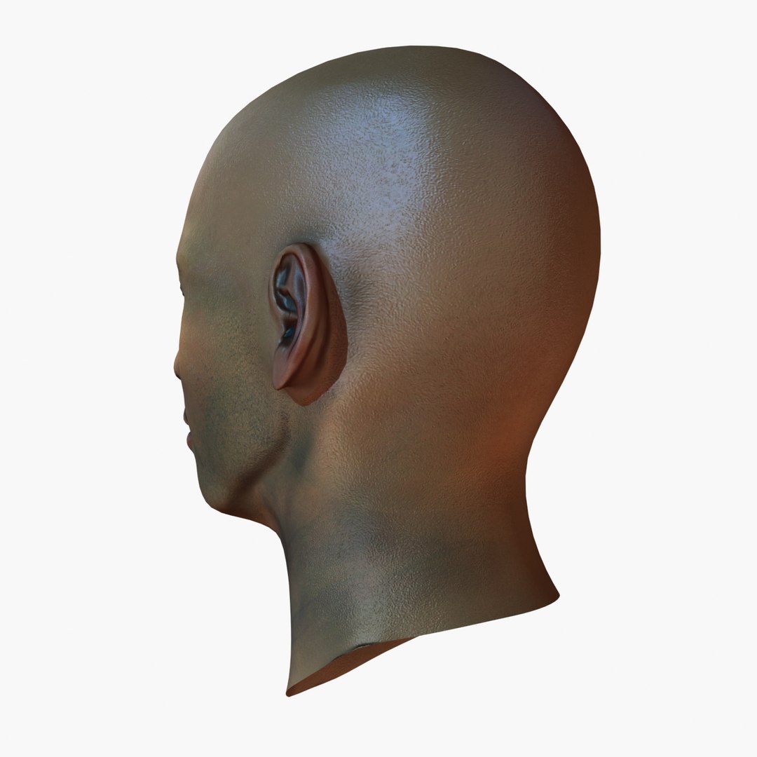 3d Polys Nexgen Model