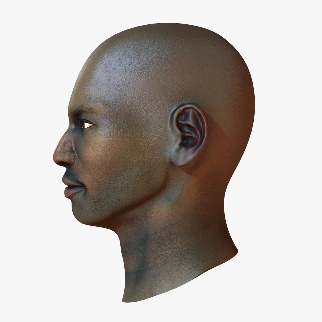 3d Polys Nexgen Model