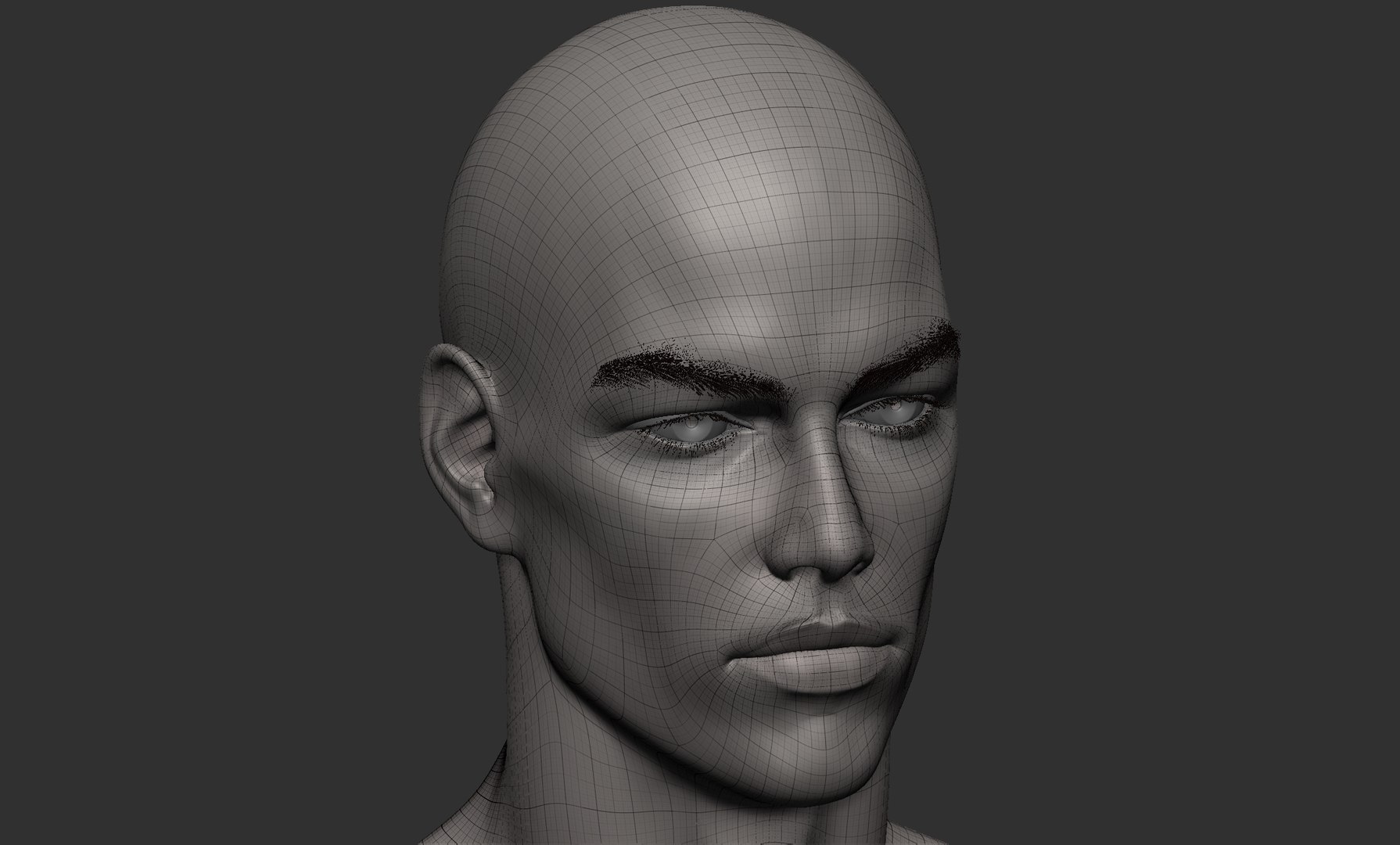 Night Sky Phoenix Head 3D Model - TurboSquid 2084667