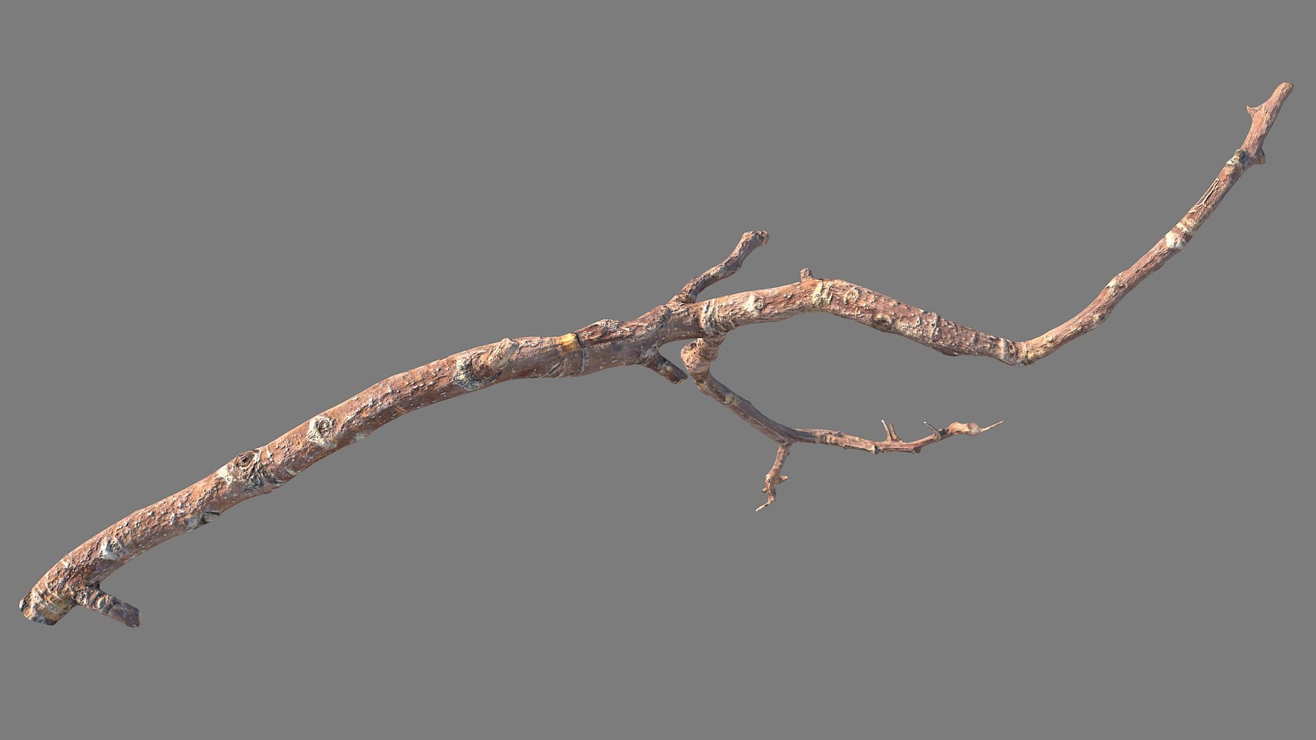 Twig Scanned 19 3D - TurboSquid 2088544