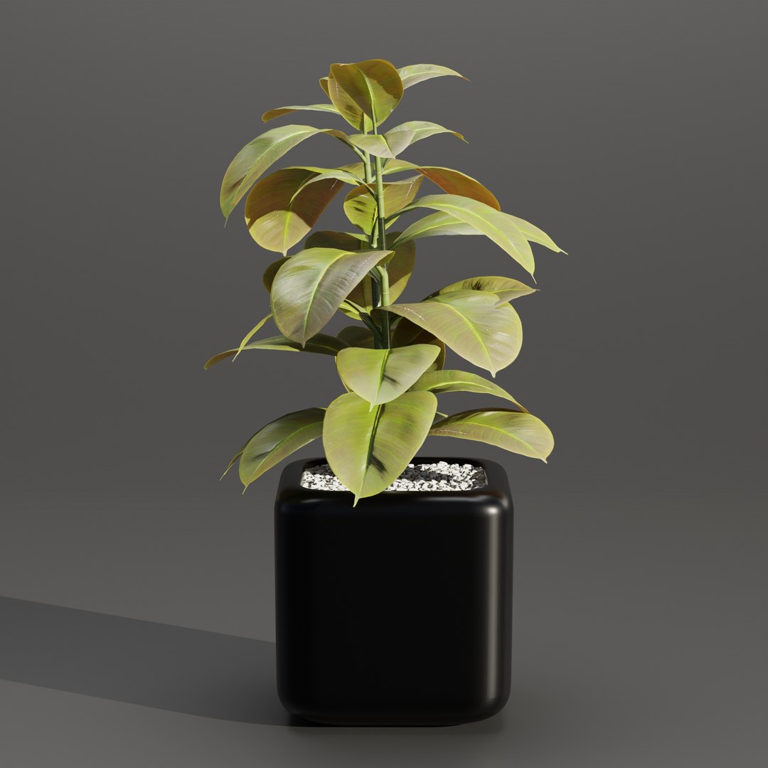 3D Plants In Pots Collection-Blender-3dmodel - TurboSquid 2193129