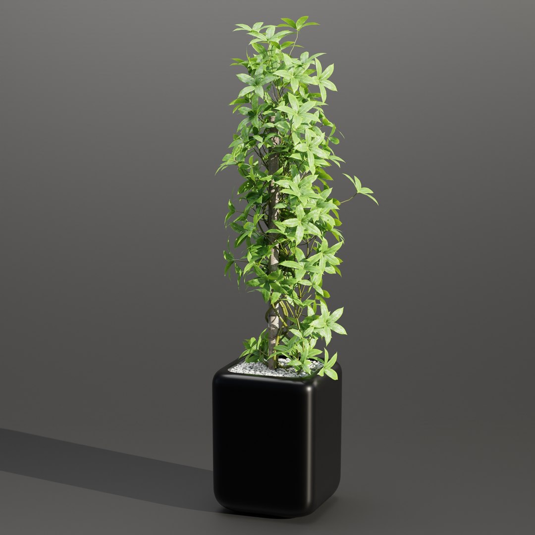 3D Plants In Pots Collection-Blender-3dmodel - TurboSquid 2193129