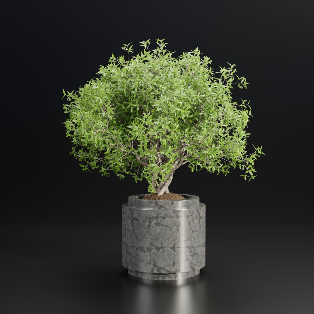 3D Plants In Pots Collection-Blender-3dmodel - TurboSquid 2193129