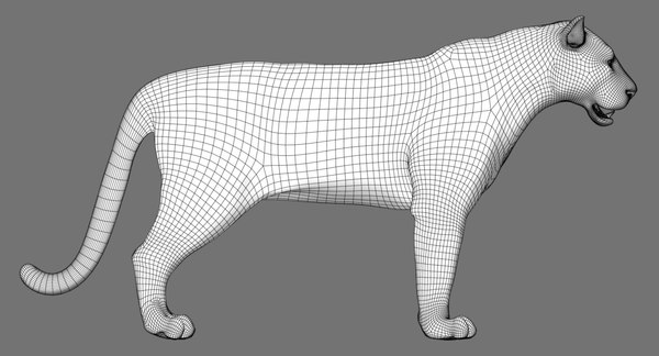 3d model tiger fur