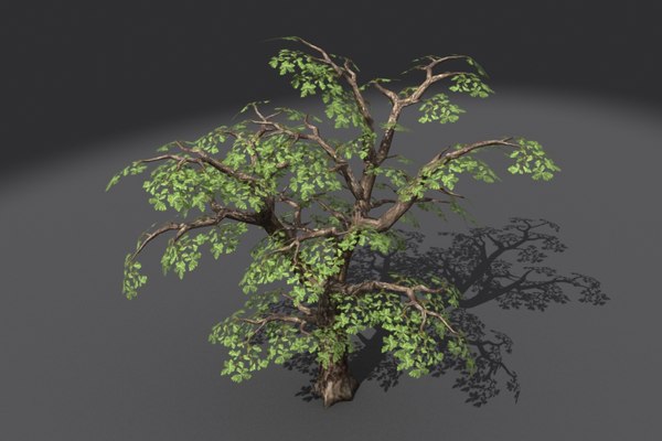 3d model house haunted