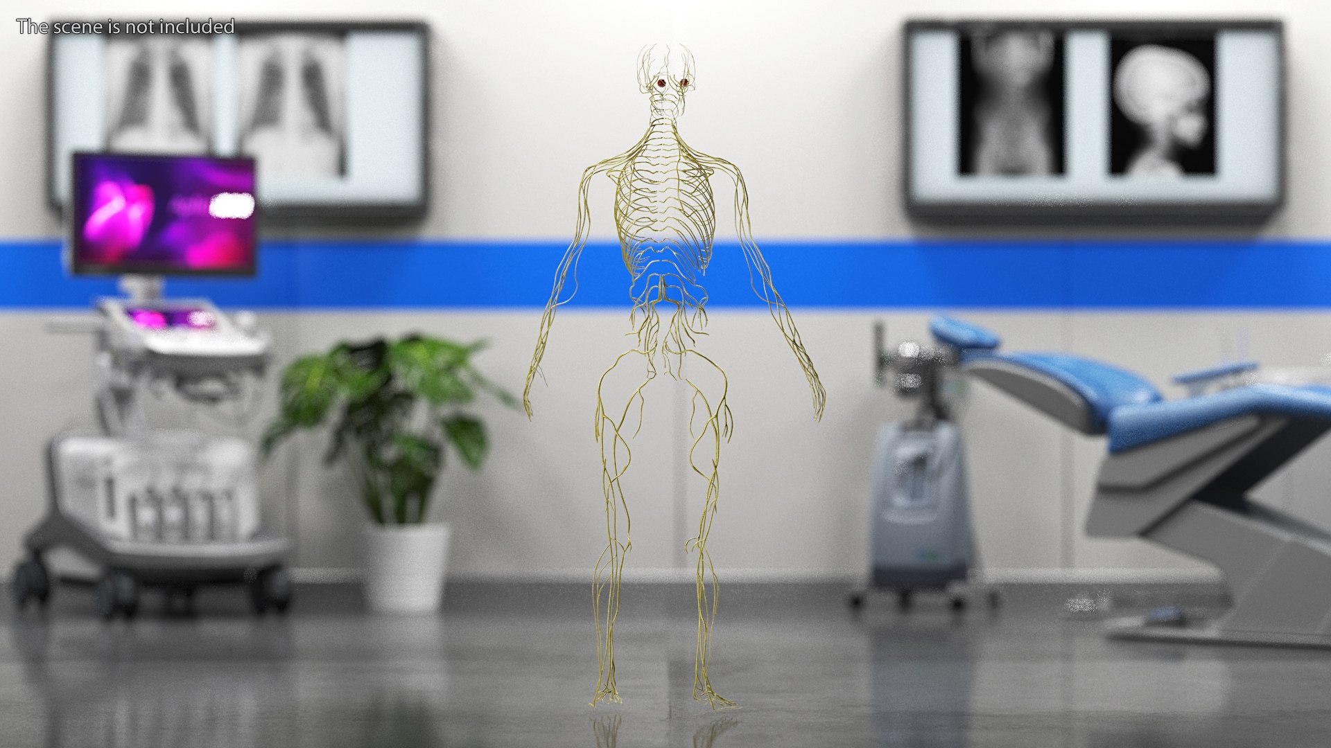 3D Female Nervous System - TurboSquid 1856073