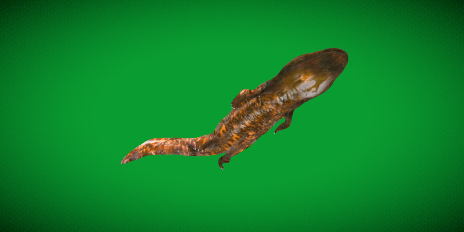 Hellbender Salamander 3D Model - TurboSquid 2377099