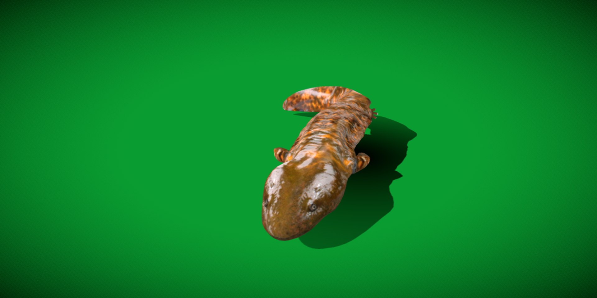 Hellbender Salamander 3D Model - TurboSquid 2377099