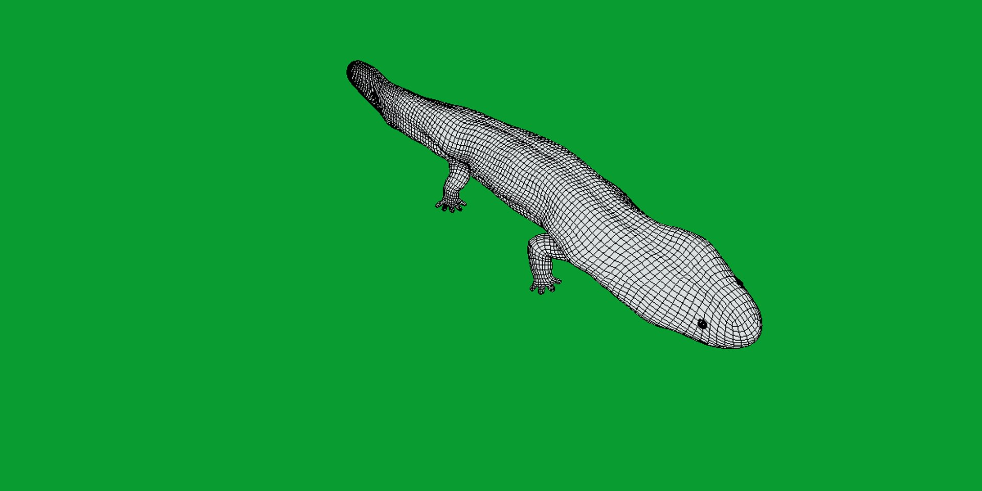 Hellbender Salamander 3D Model - TurboSquid 2377099