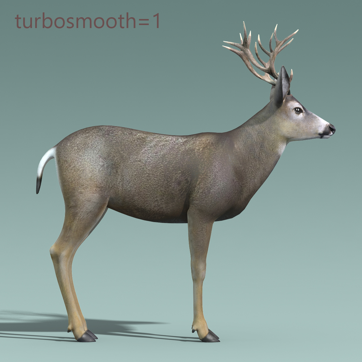 3d mule deer stag rigged model