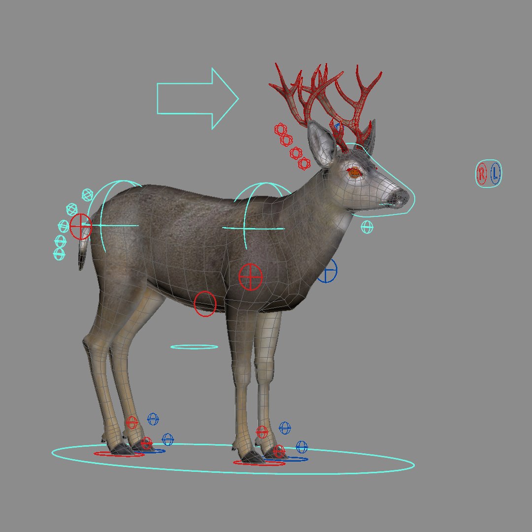 3d mule deer stag rigged model