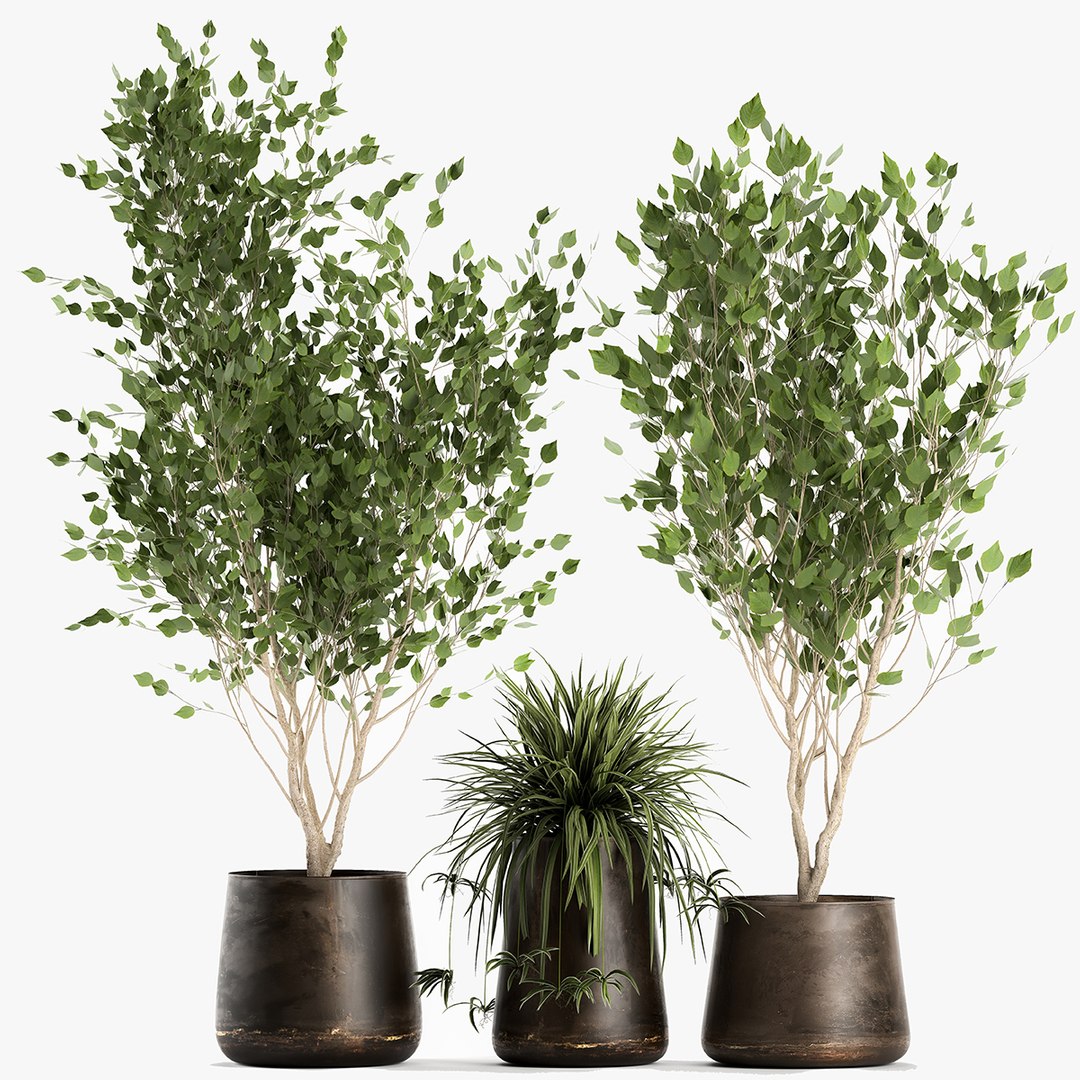 3D Trees in a rust pot for the interior 1046 - TurboSquid 1787127