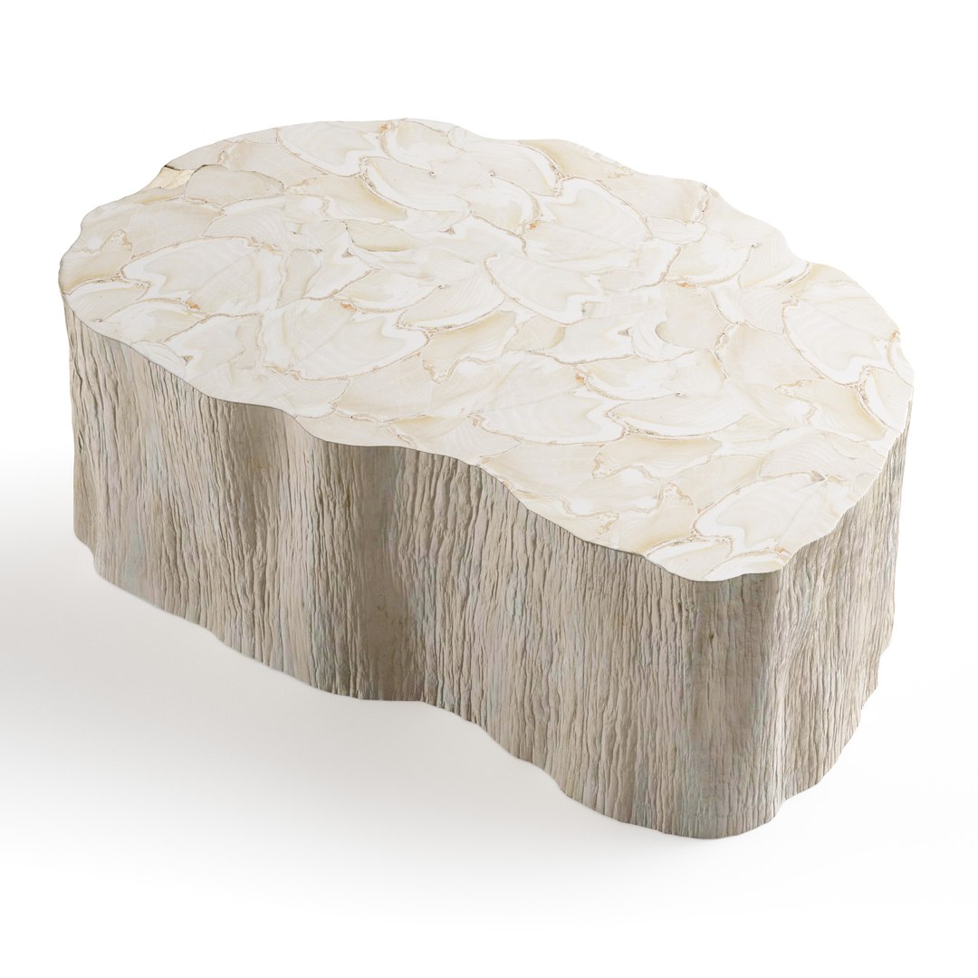 Palecek Camilla Fossilized Clam Coffee Table 3D - TurboSquid 1780632