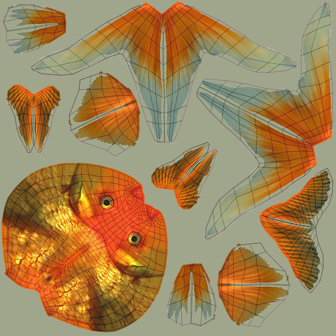 Ryukin goldfish scanline model - TurboSquid 1164324