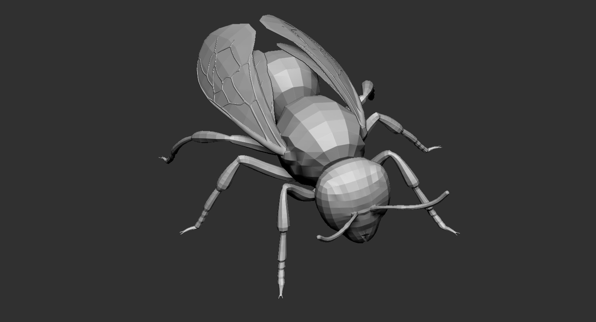 3D Honey Bee Insect Animal Creature - TurboSquid 1431435