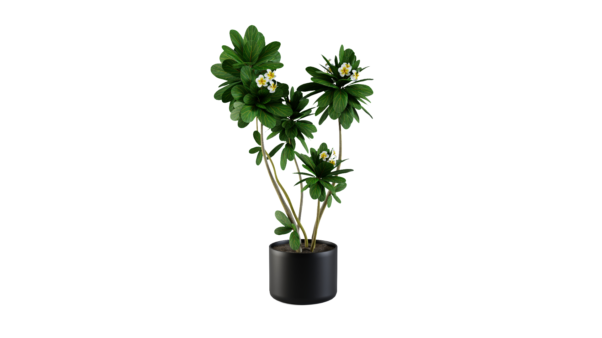 3D Plant Design Modeled - TurboSquid 1594485