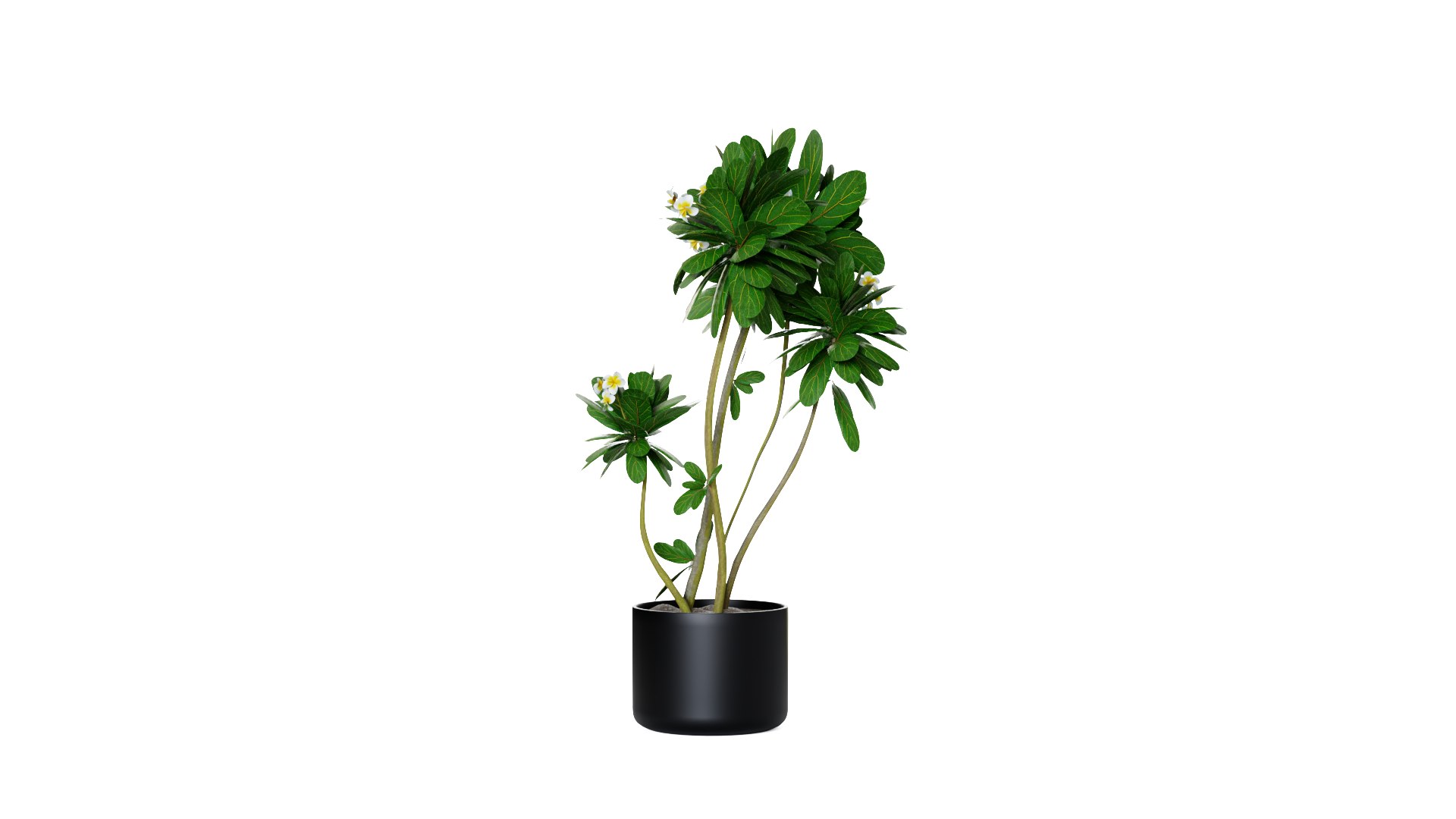3D Plant Design Modeled - TurboSquid 1594485