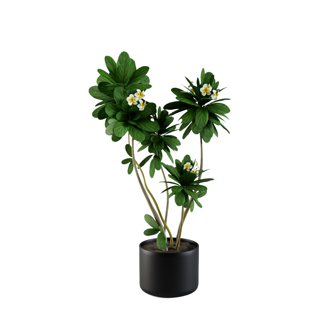 3D Plant Design Modeled - TurboSquid 1594485