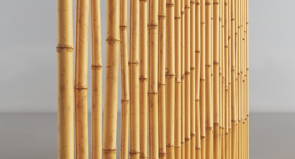 Bamboo 3D model - TurboSquid 1389549