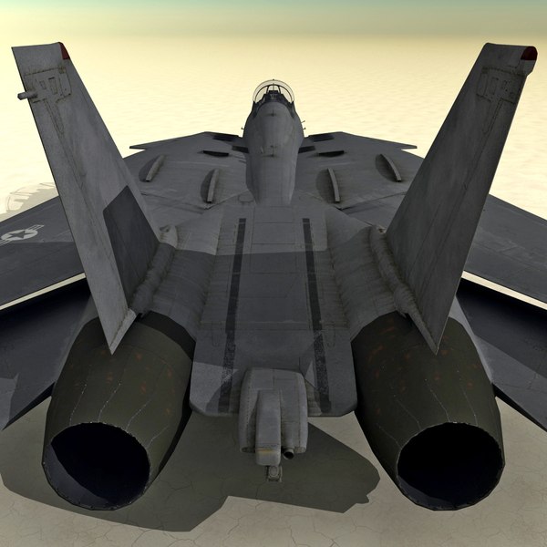 f-14 tomcat low-poly 3d model