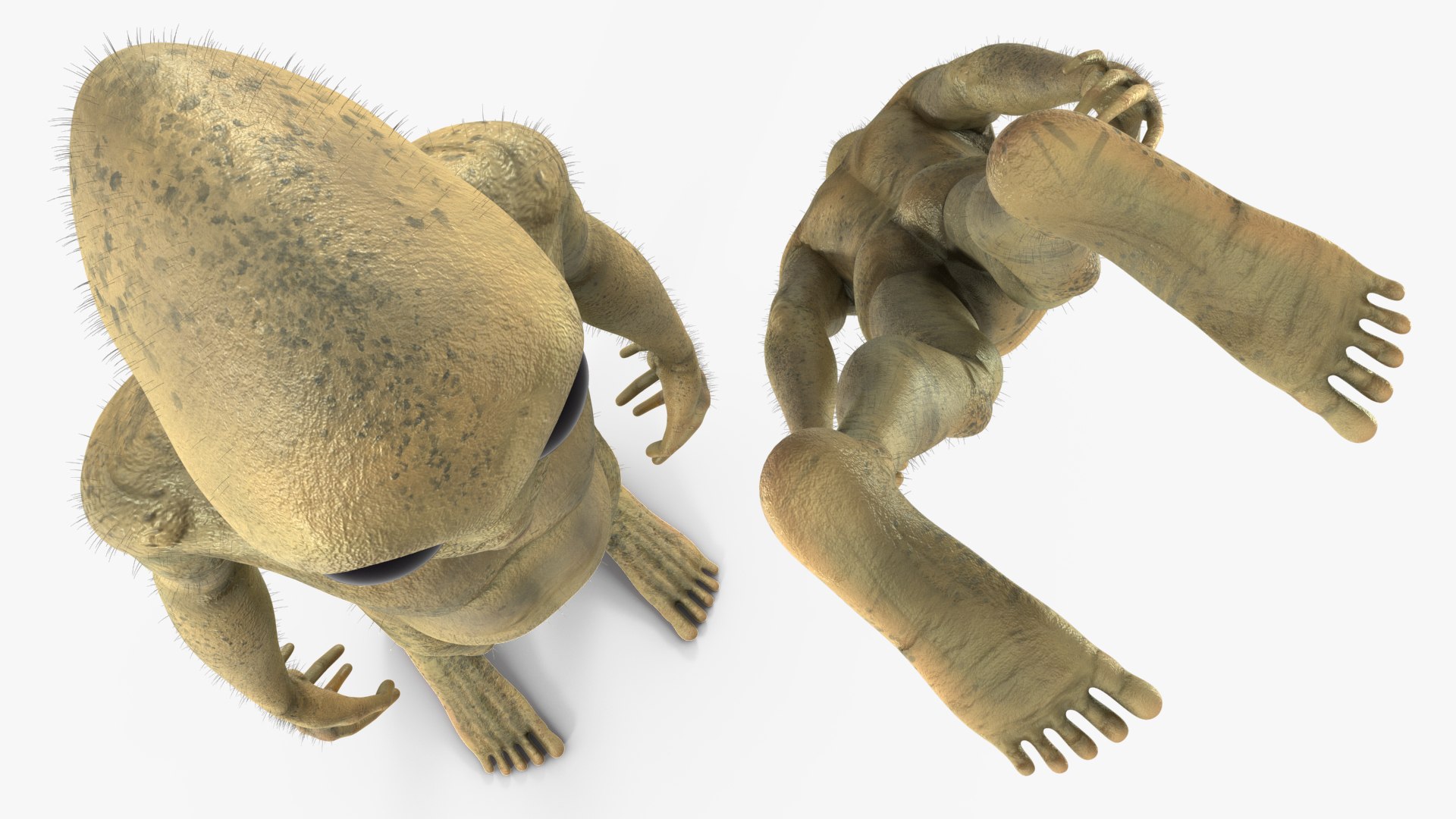 3D Model Humanoid Alien Standing Pose Fur - TurboSquid 1871193