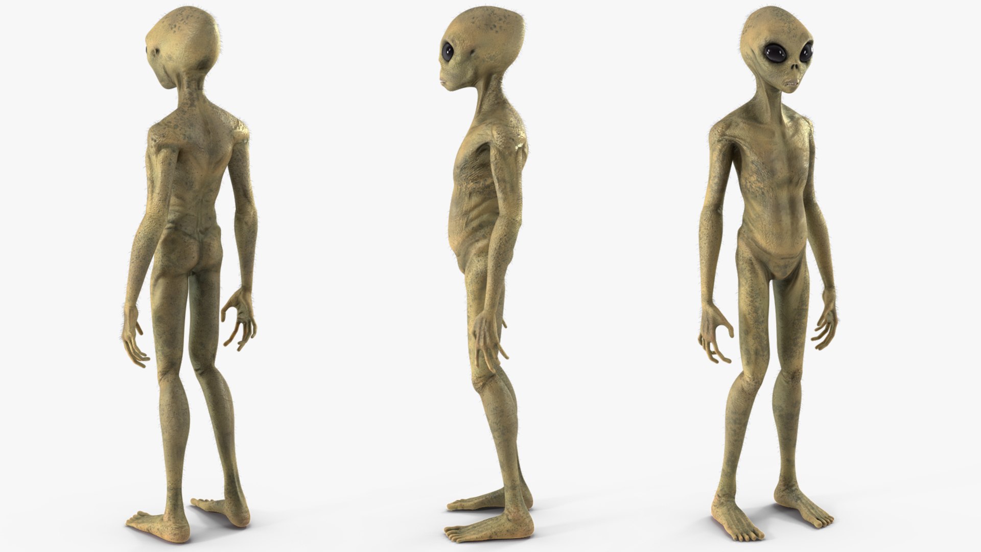 3D Model Humanoid Alien Standing Pose Fur - TurboSquid 1871193