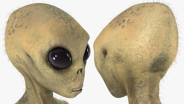 3D model Humanoid Alien Standing Pose Fur - TurboSquid 1871193