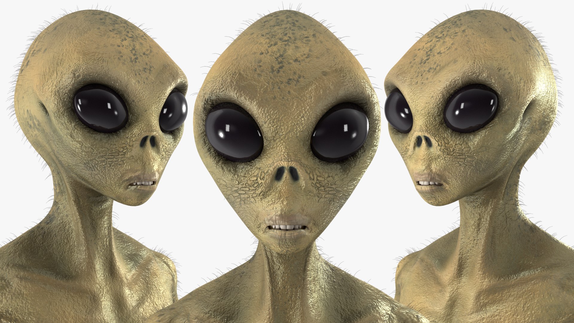 3D Model Humanoid Alien Standing Pose Fur - TurboSquid 1871193