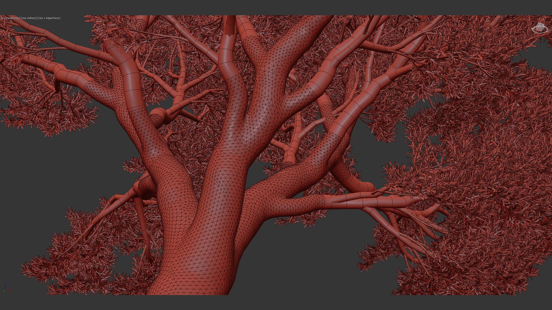 Podocarpus Totara Evergreen Tree 3D Model - TurboSquid 2050186