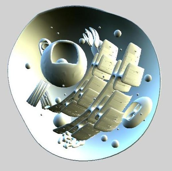 free cell science 3d model
