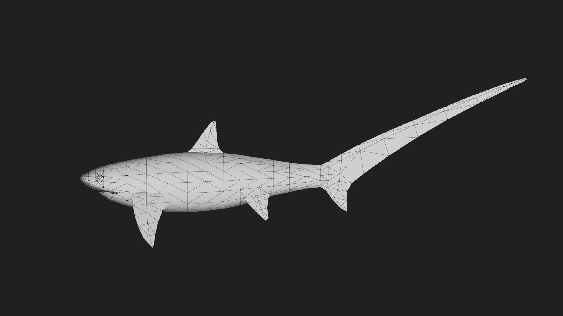 Shark model - TurboSquid 2121562