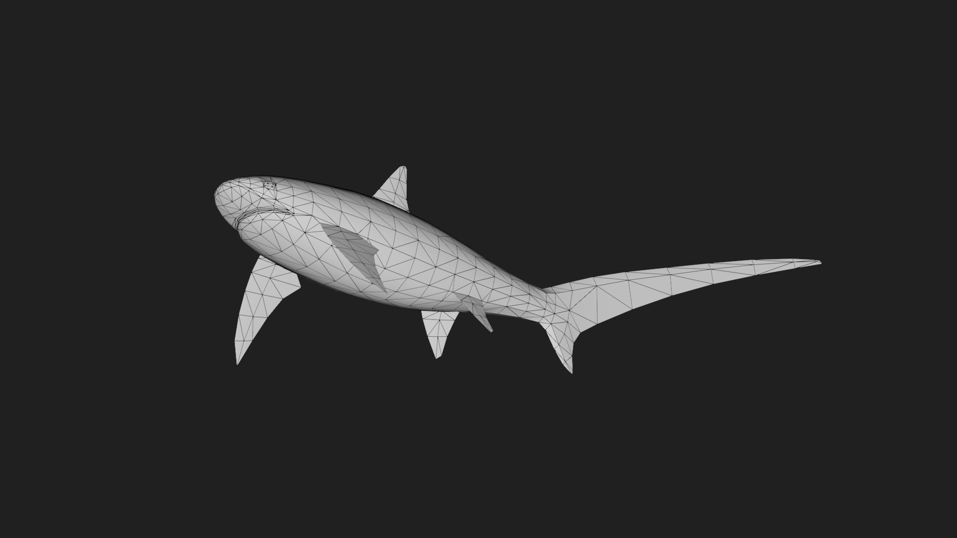 Shark model - TurboSquid 2121562