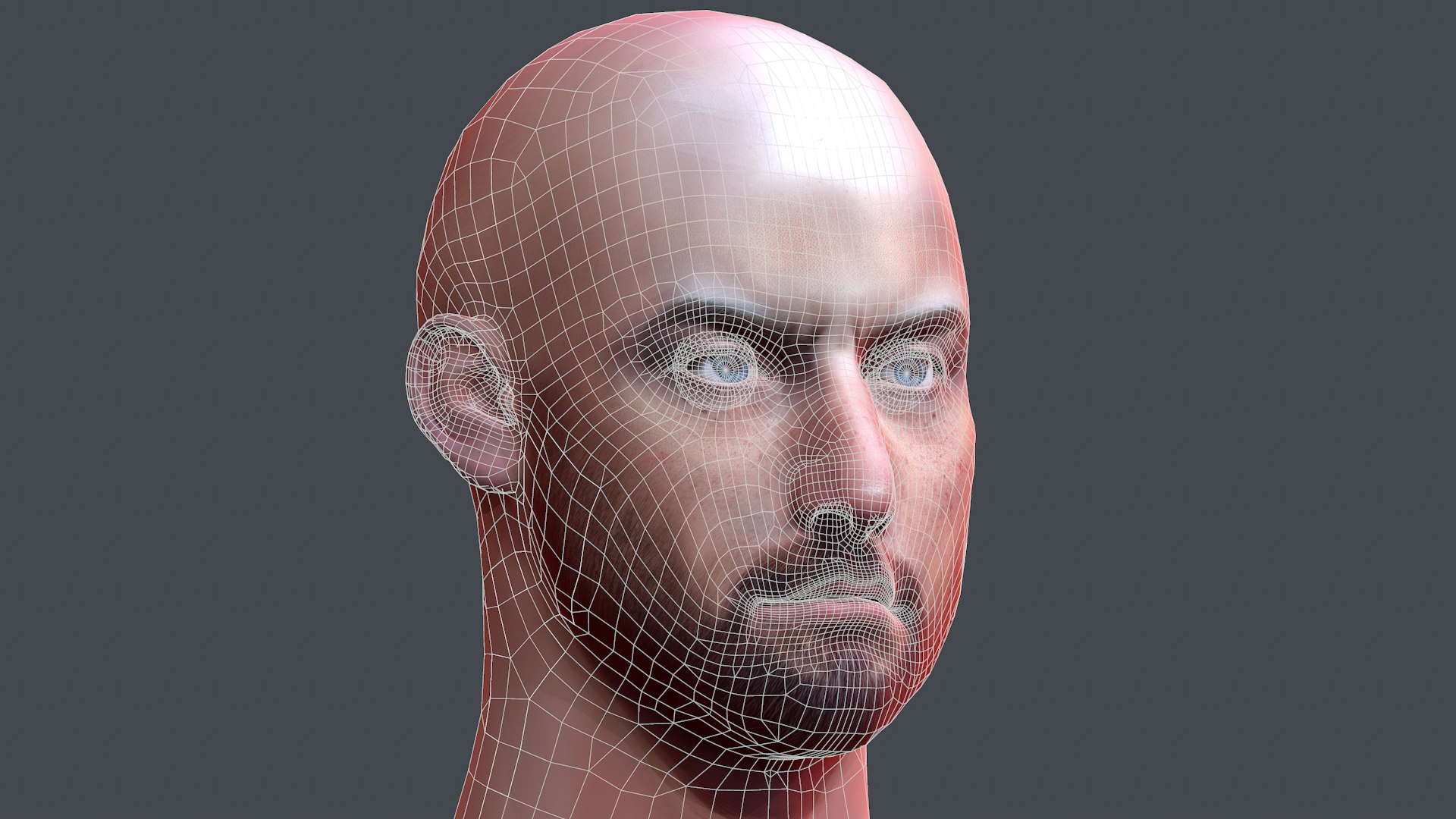 Male head Realistic Perfect Head Low-poly model - TurboSquid 1957161