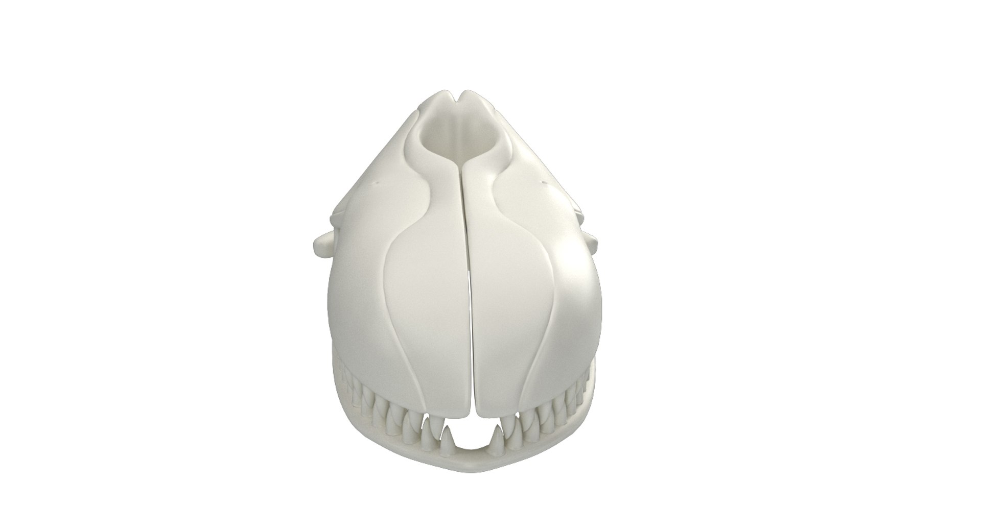 Killer Orca Skull 3D - TurboSquid 1348709